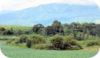 Tsumagoi Village for 3 days in summer, 2012 (1)